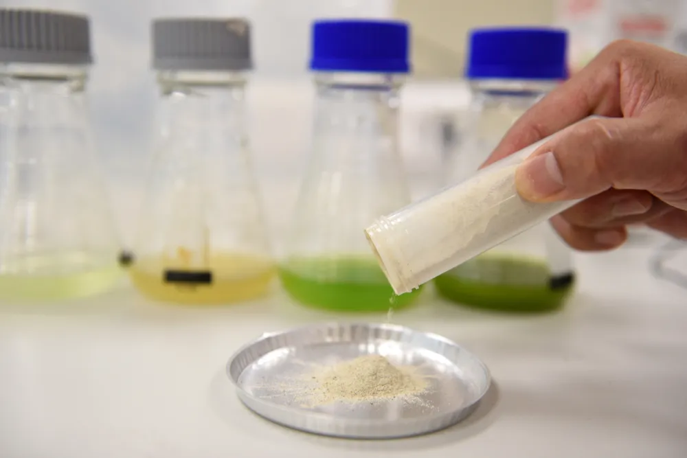 List of Protein Powder Brands Containing Lead After Consumer Reports ...