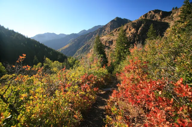 Three Kids Who Went Missing With Dad on Canyon Hike Found Alive Day ...
