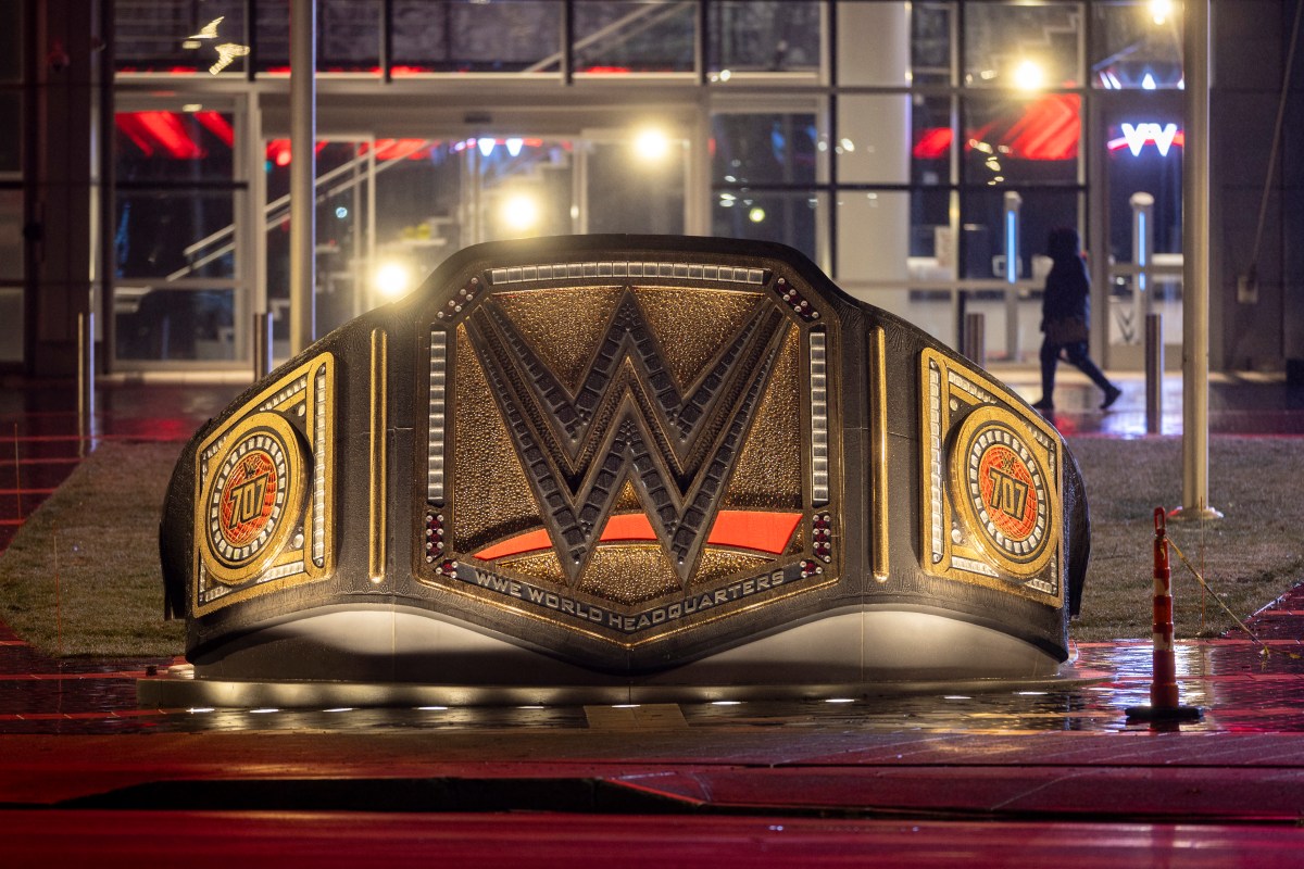 Popular WWE Name Shares Devastating Personal News - Newsweek