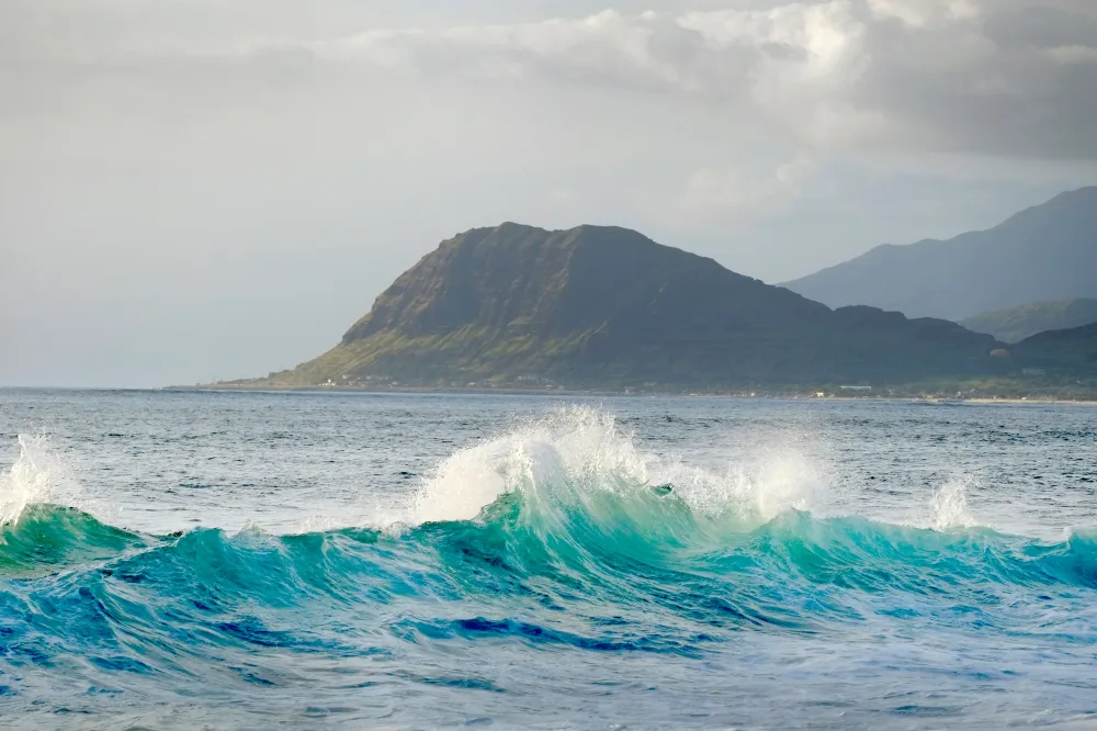 Thousands Warned of 20-Foot Waves at Popular Beaches - Newsweek
