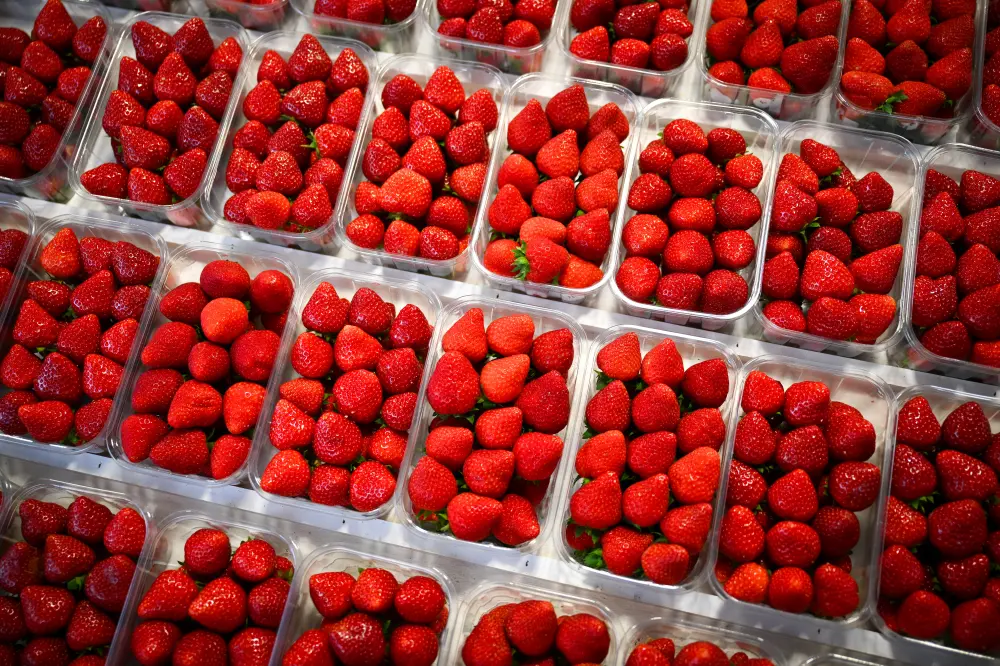 Fruit recall sparks highest consumer risk warning - Newsweek