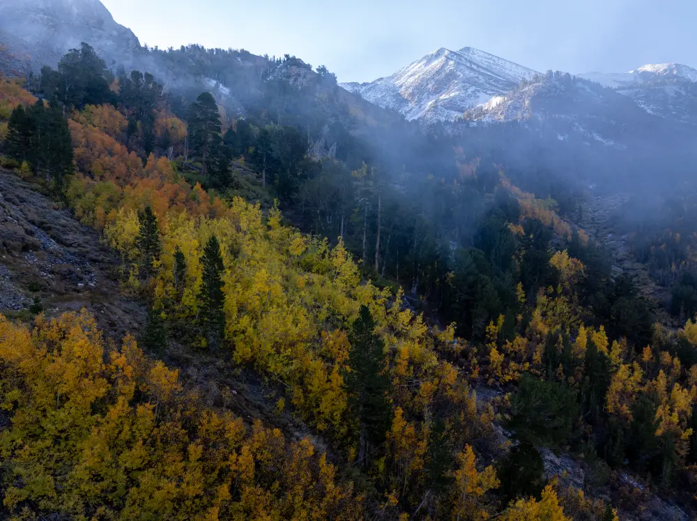 New Donald Trump Evidence ‘Kryptonite’ for His Defense: Former ...