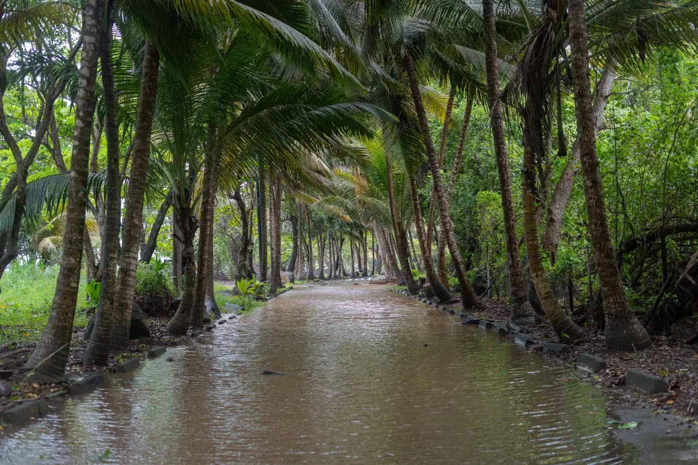 Map Shows Where Semiconductors Are Made Around the World - Newsweek