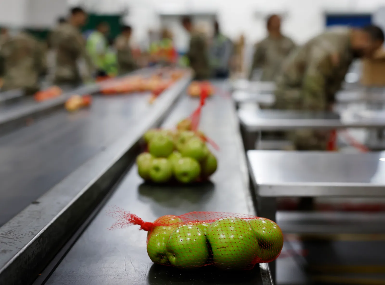 SNAP Benefits Update: Mike Johnson Urged to Open House for Funding Bill ...