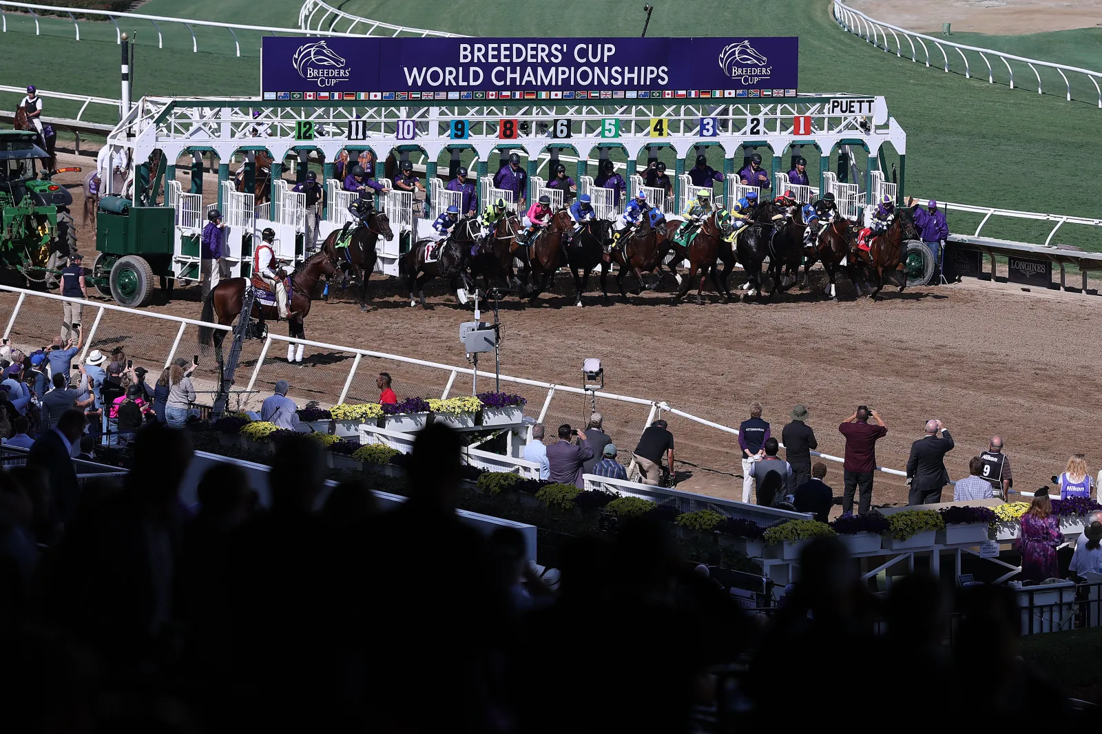 How to Watch Breeders’ Cup 2025: Live Stream Horse Racing, TV Channel ...
