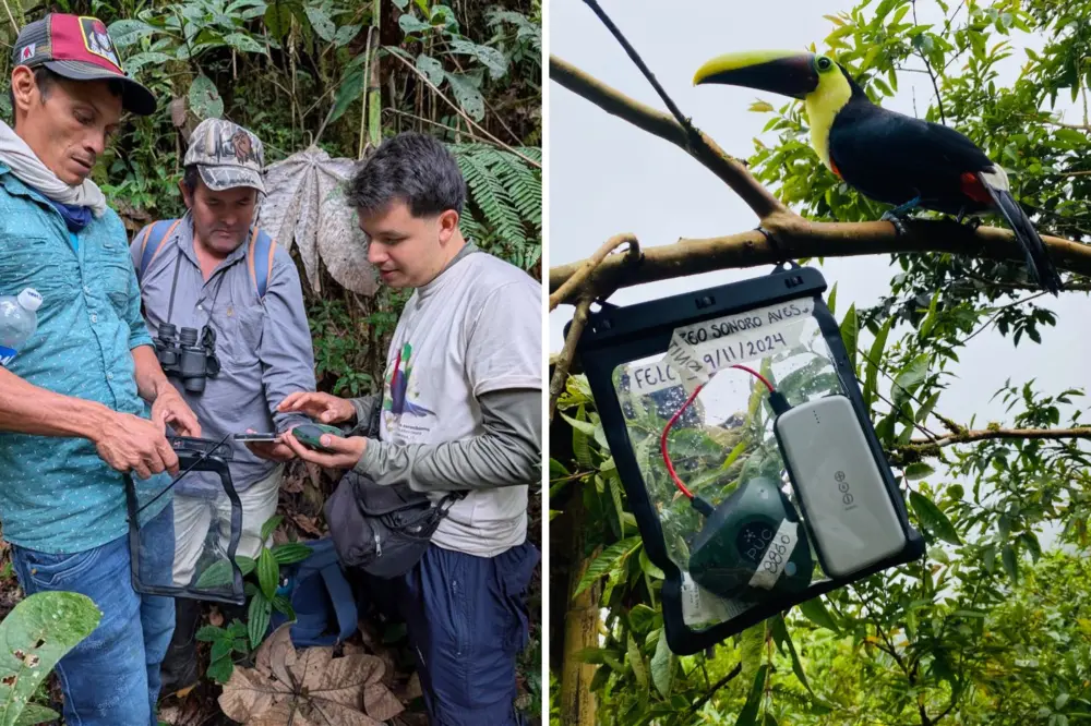 Panama Map Shows Sea Level Rise Impact by 2050 - Newsweek