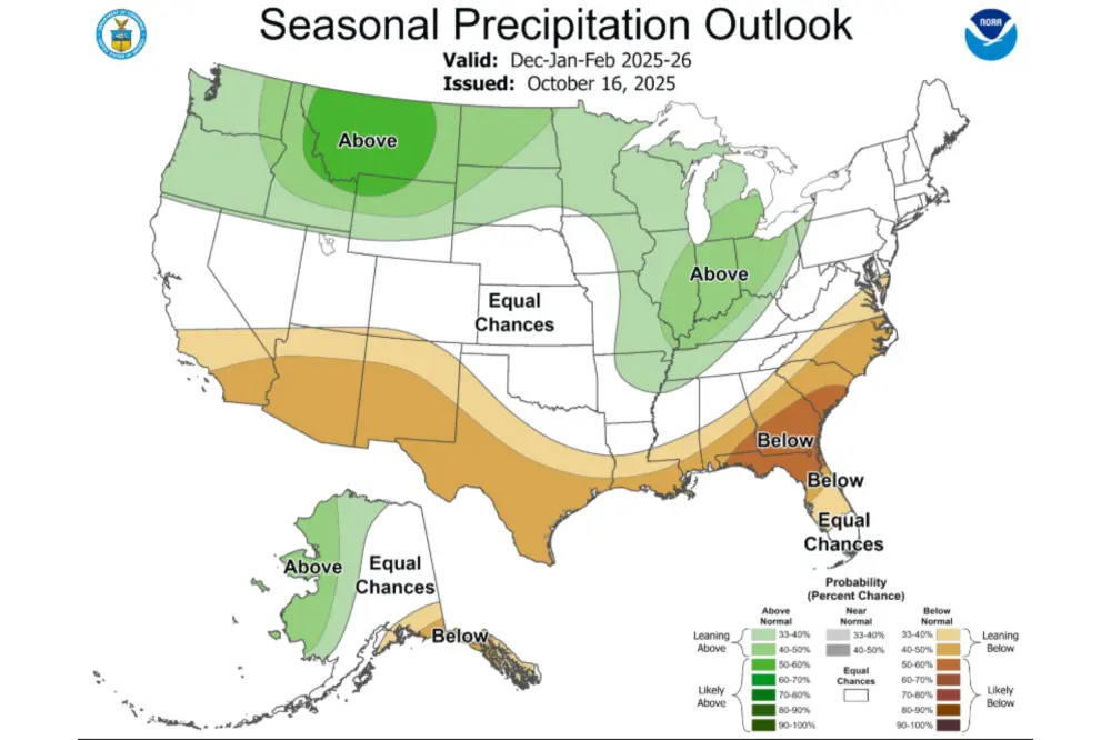 Joe Edwards - Newsweek.com