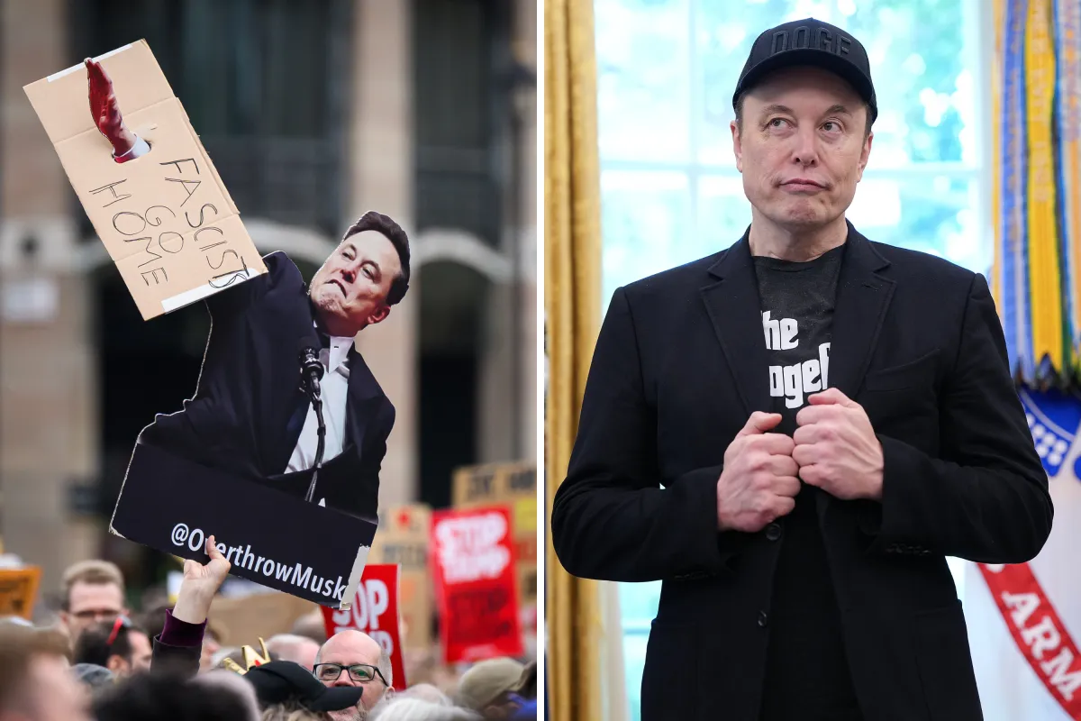 Elon Musk Declaring British People ‘Hobbits’ Sparks Backlash - Newsweek