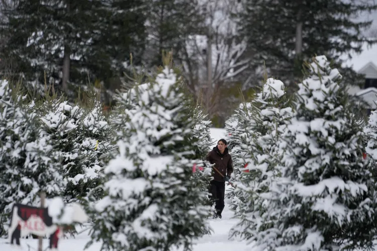 Winter Weather Wallops Midwest: In Pictures - Newsweek