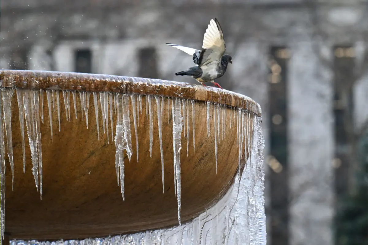 Four States Hit by Sub-Freezing Temperatures - Newsweek