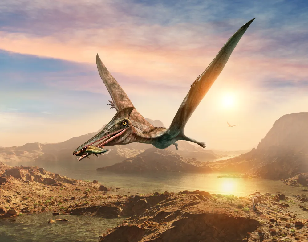 New Species of Flying Reptile Discovered in Overlooked Museum Fossil ...