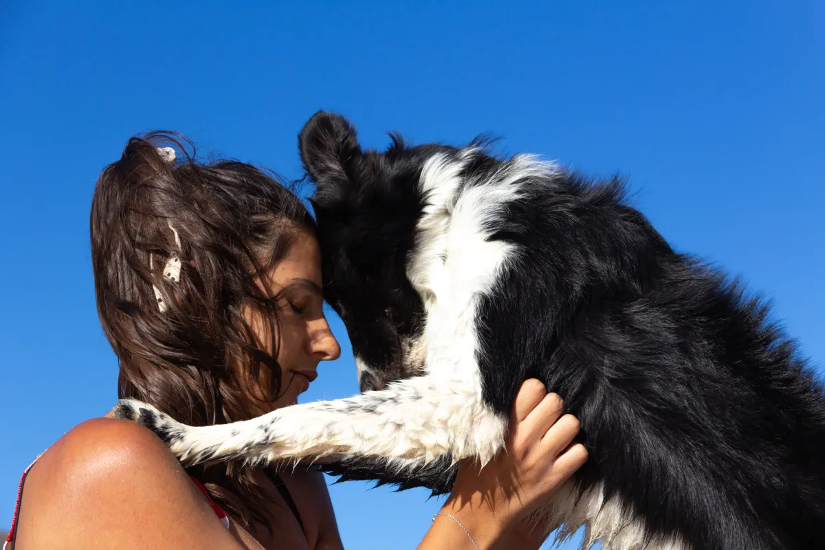 Vet Reveals the Top 5 Emotionally Intelligent Dog Breeds - Newsweek