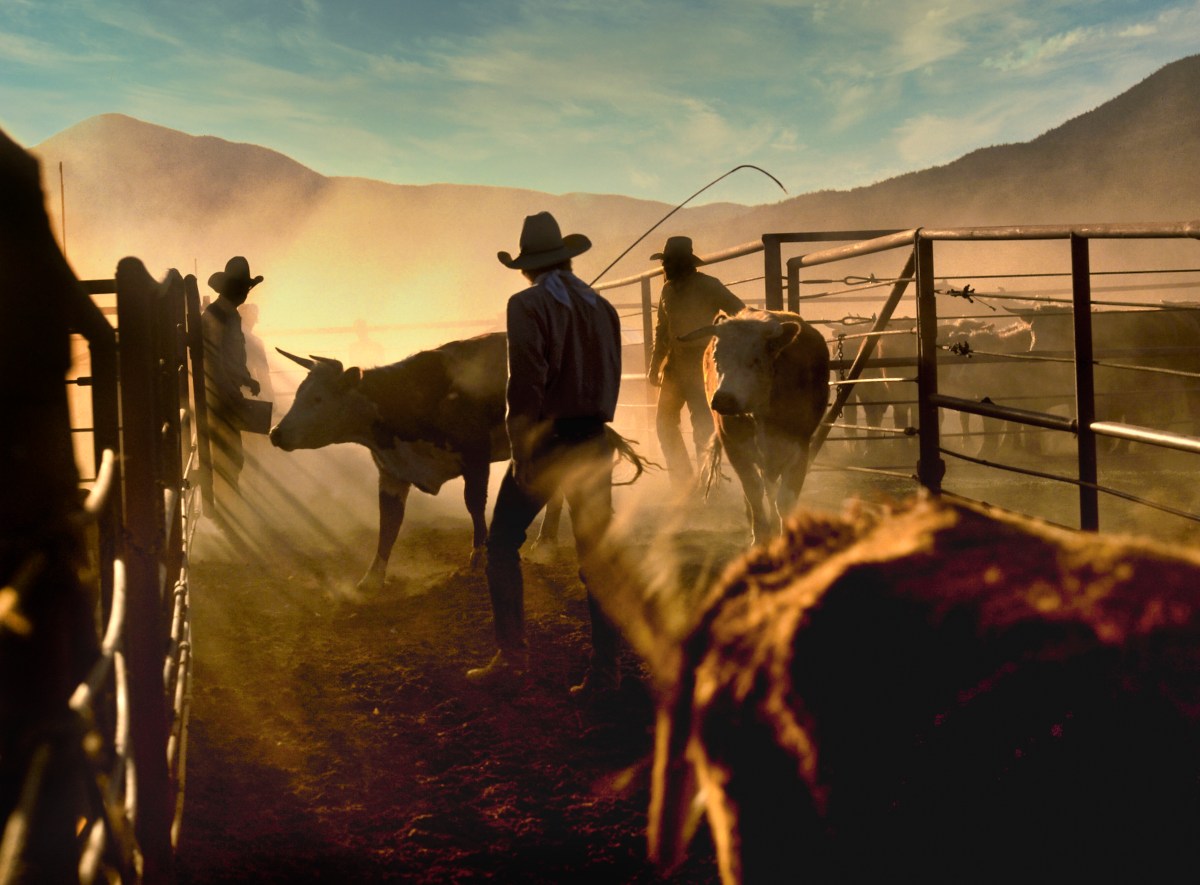 Agriculture Secretary: Giving Thanks to the American Farmer This ...