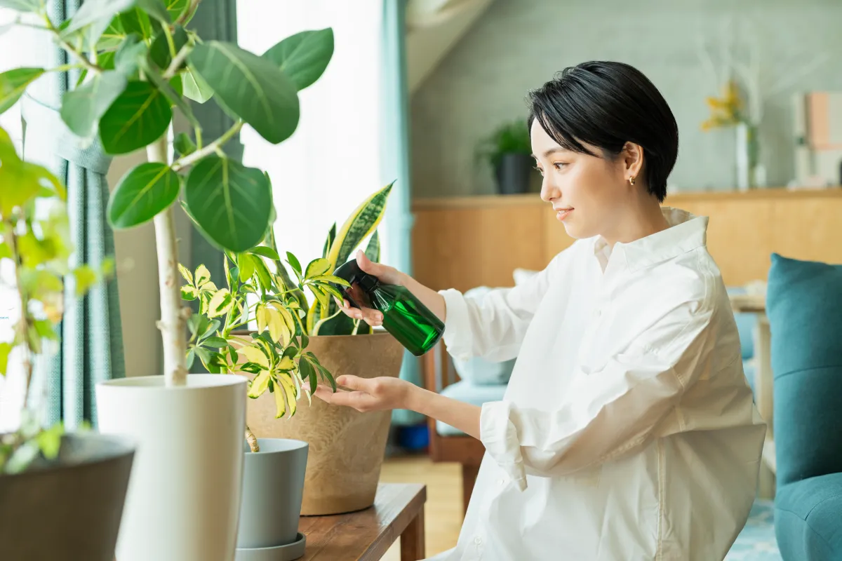 Scientists Reveal the Ideal Amount of Pot Plants for Wellness - Newsweek