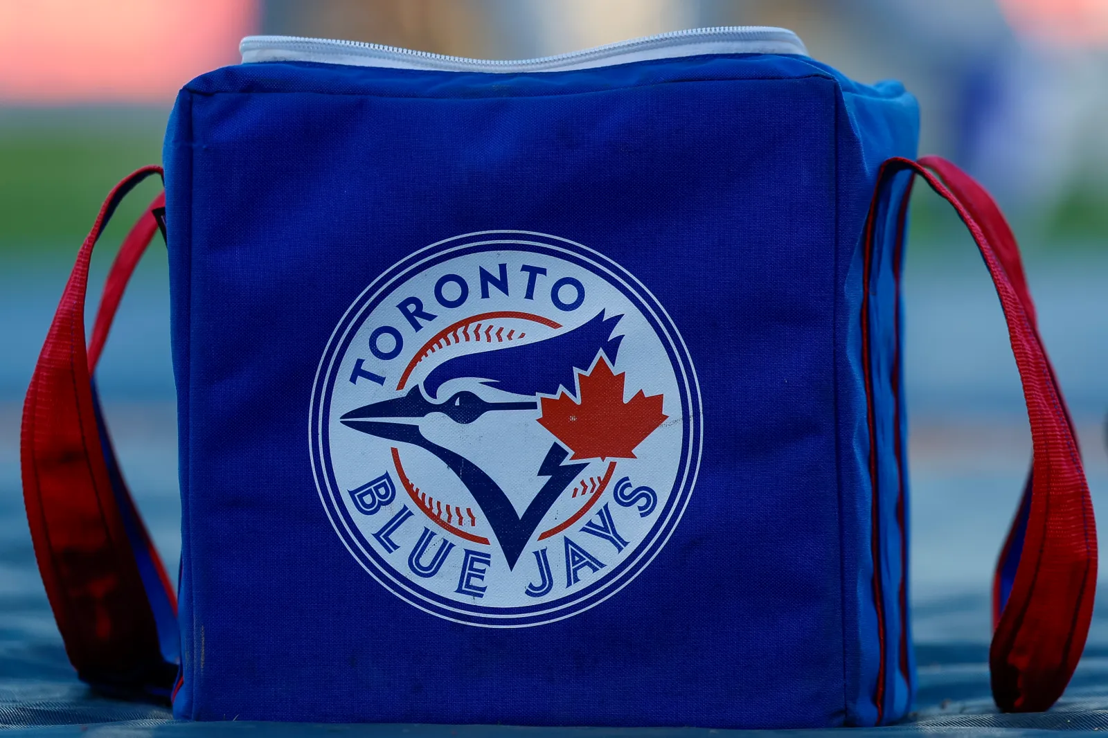 Blue Jays Announce 3 Last-Second Roster Moves Before Spring Training ...