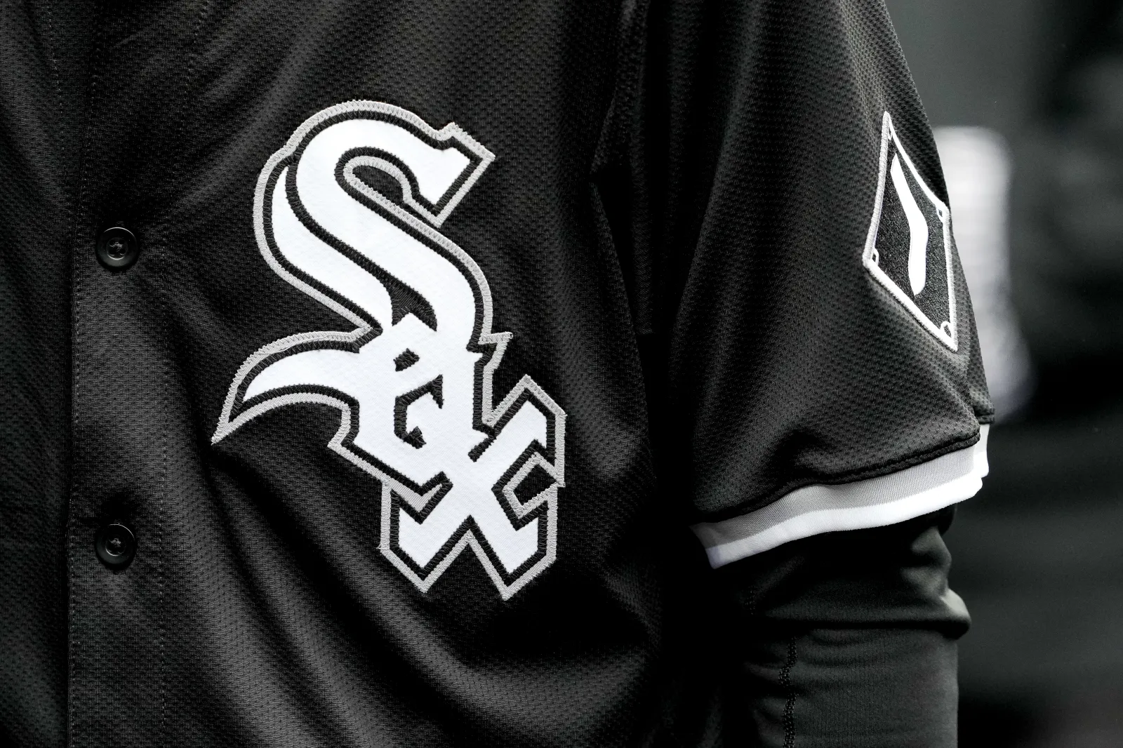 Ex-Red Sox, Giants Catcher Released by White Sox After Turbulent Season ...