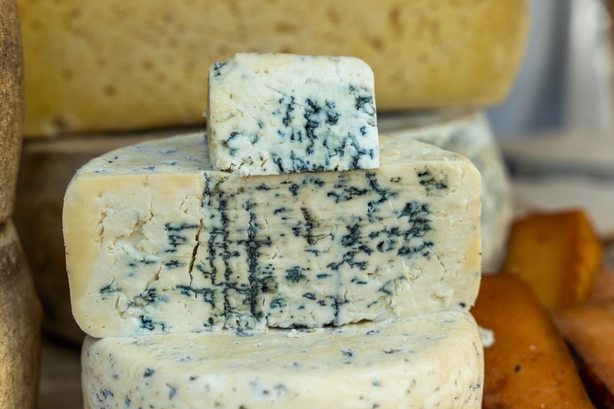 FDA Issues Highest Risk Warning for Cheese Recall - Newsweek