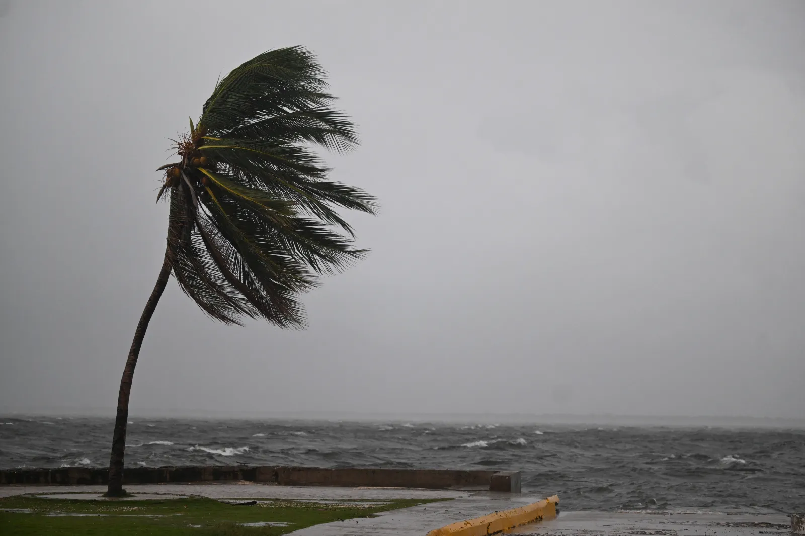 Hurricane update: Chances Florida gets hit in November - Newsweek