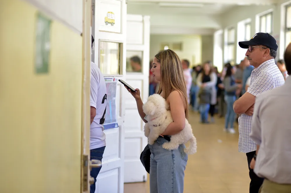 Hidden Meaning Behind Viral Dog Videos - Newsweek