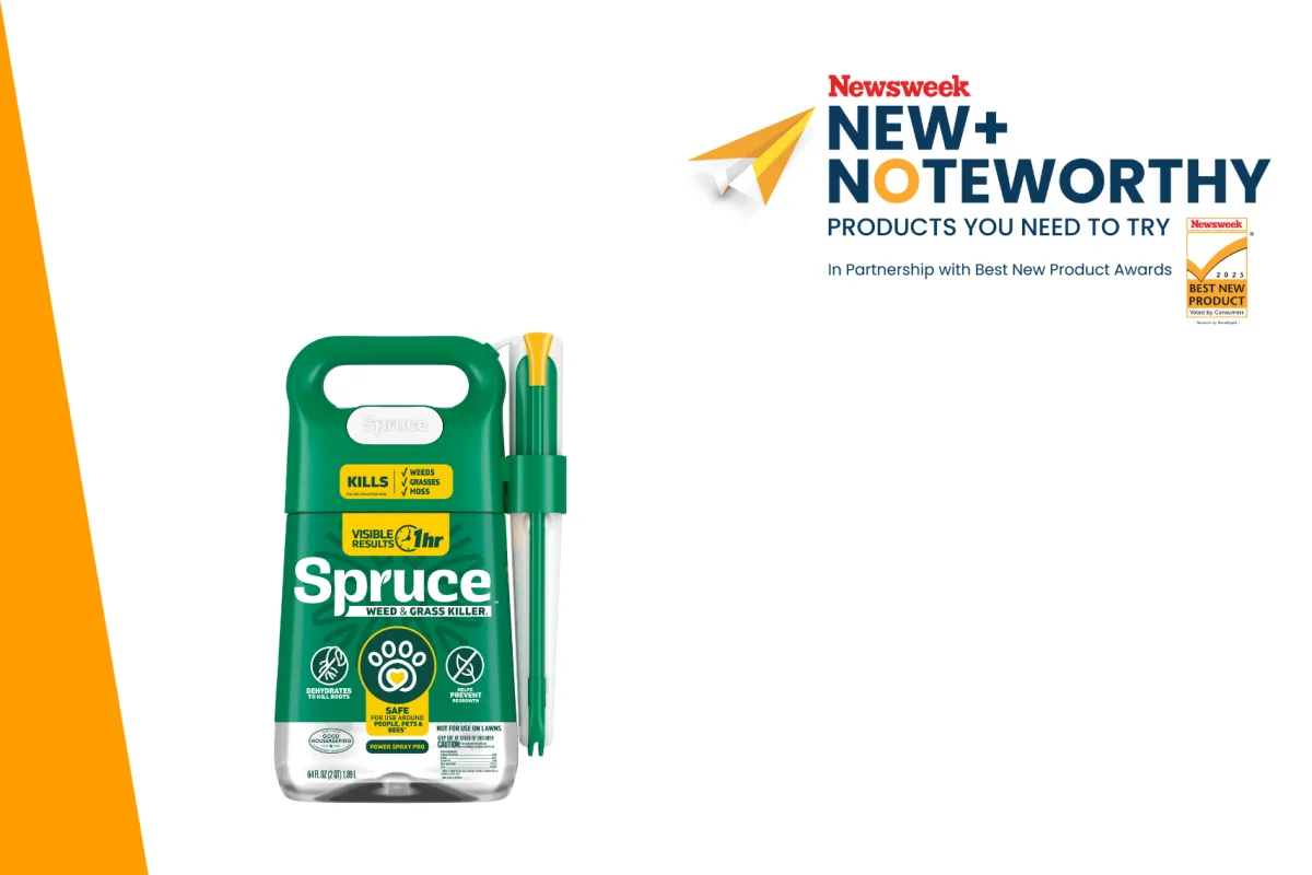 Newsweek New & Noteworthy: Products You Need to Try (Nov 19, 2025 ...