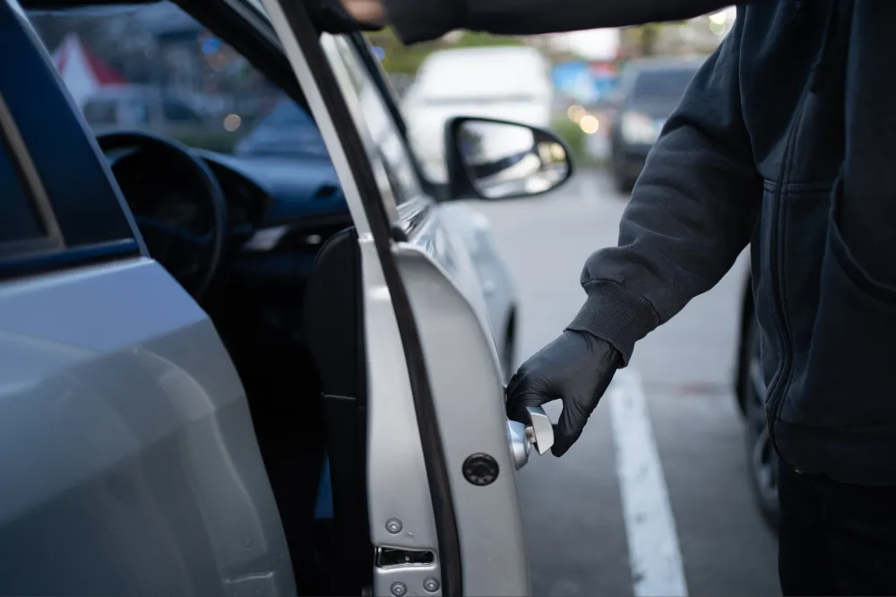 Theft News & Latest Pictures From Newsweek.com