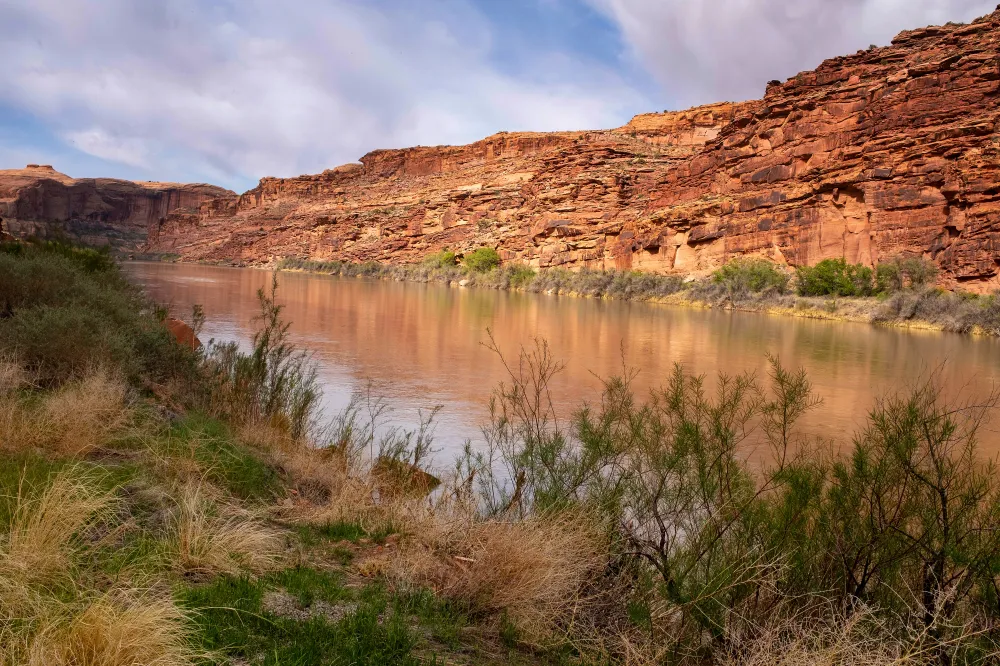 Americans most affected by Colorado River water contamination: report ...