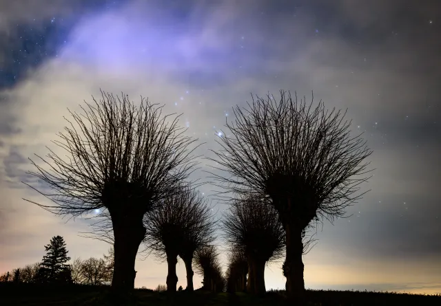 Best Ways to Watch the Geminids Meteor Shower as it Peaks Tonight—Live ...