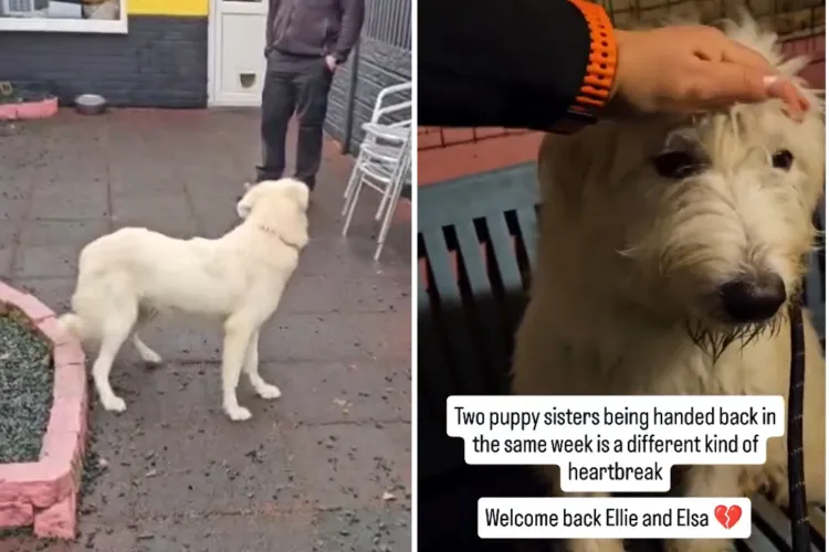 Animals News & Latest Pictures From Newsweek.com