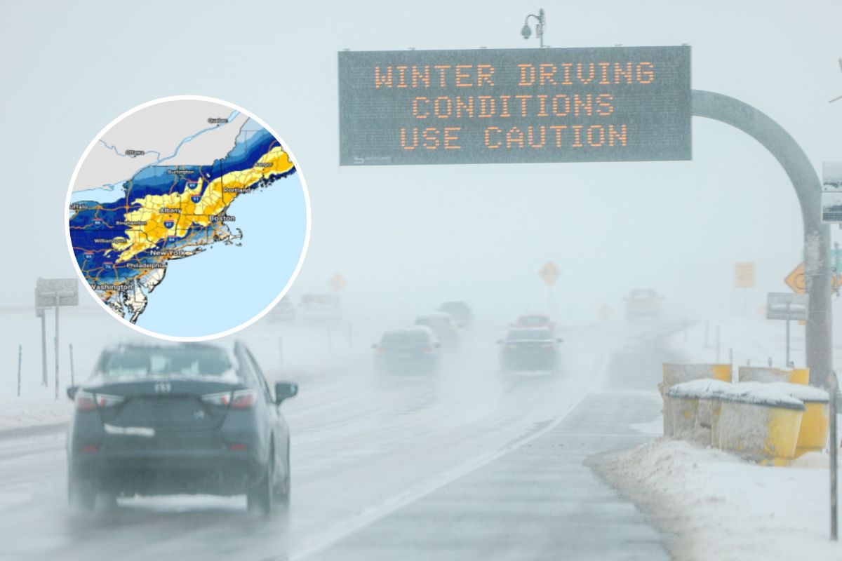 Map shows winter storm snowfall totals forecast for each state - Newsweek