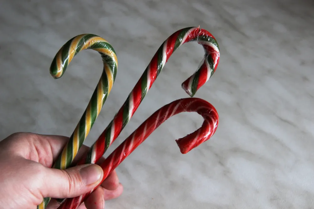 Woman Finds Old Candy Canes in Garage—No One Prepared for What’s ...