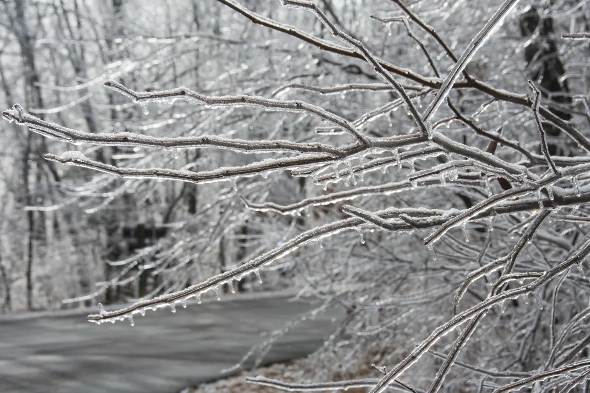 Dangerous ice storm to hit US: Live tracker maps - Newsweek