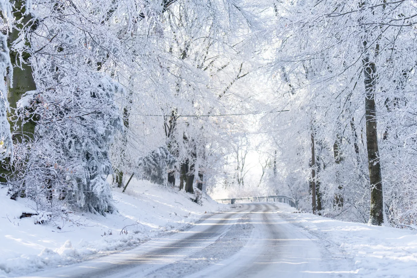 Winter Storm Warning As 15 Inches of Snow To Strike: ‘Slick And ...