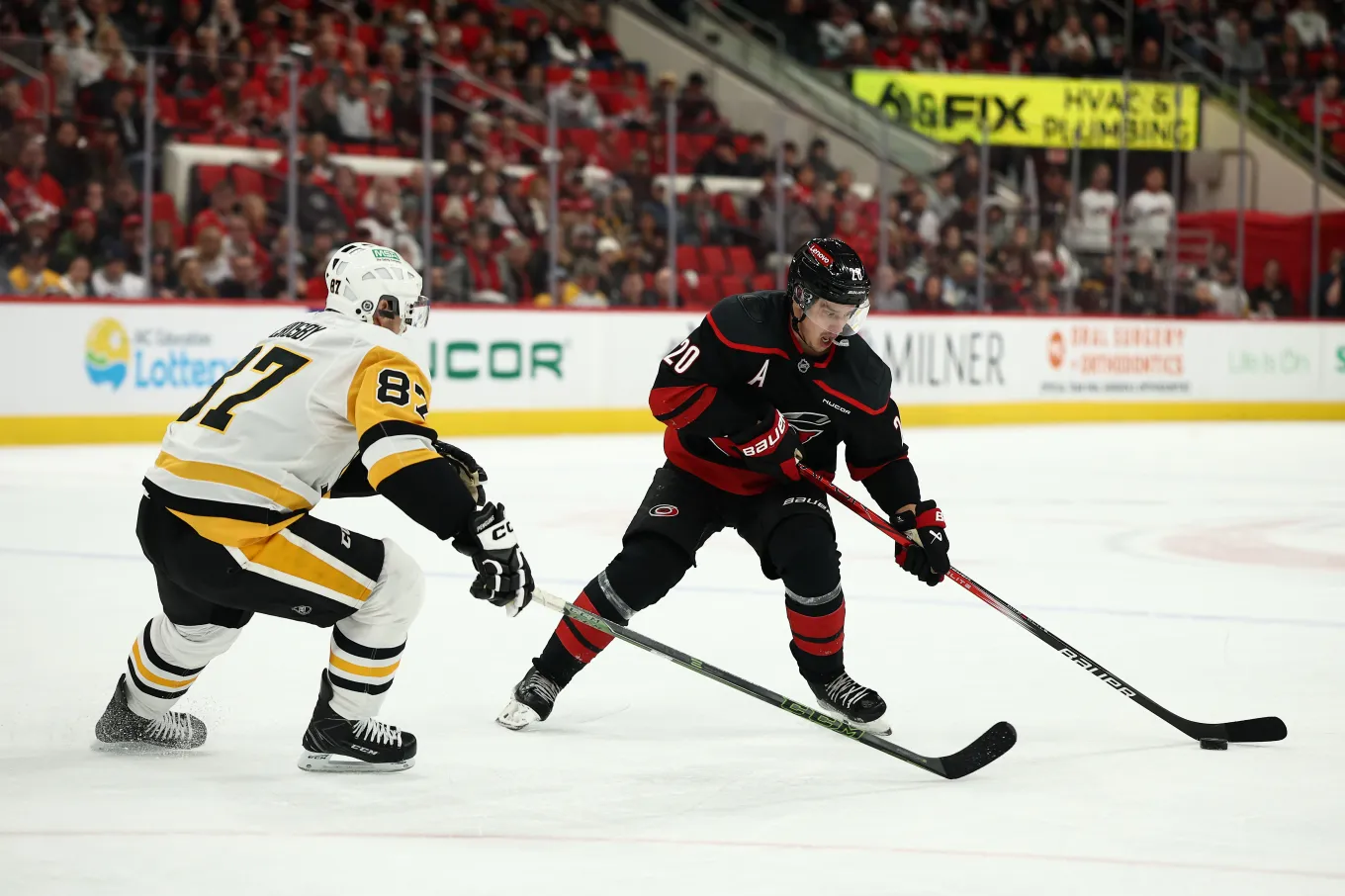 How to Watch Penguins vs Hurricanes: Live Stream NHL, TV Channel - Newsweek