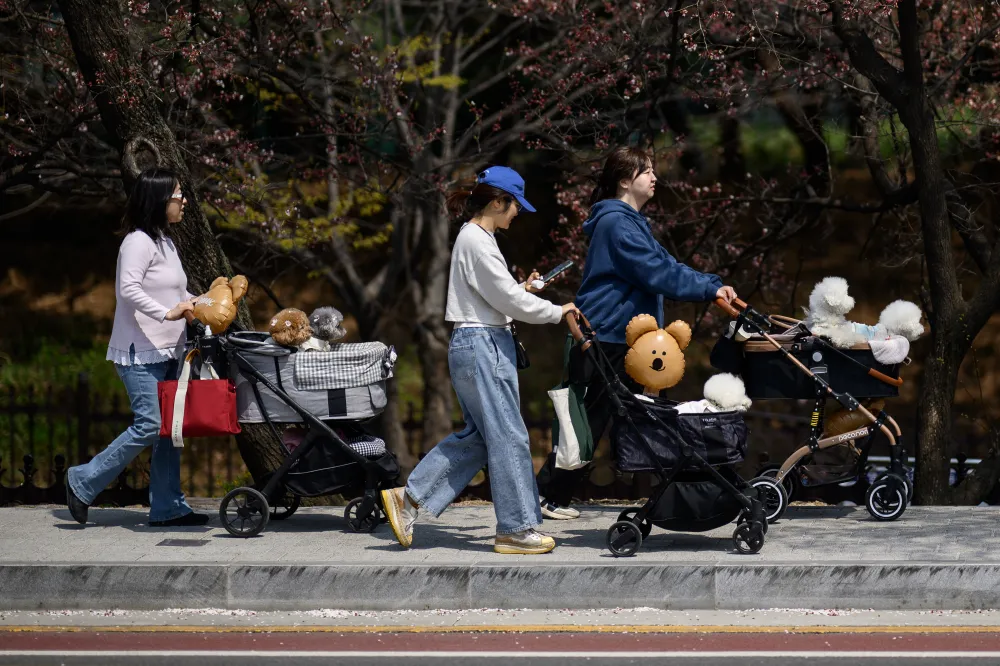 Can South Korea Rescue Its Alarming Birth Rate in 2026? - Newsweek