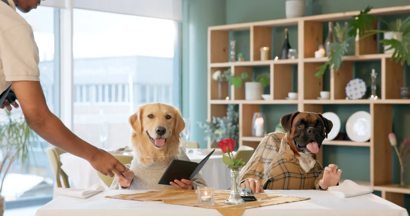 Vet Reveals Top 5 Dog Breeds That Act the Most Like Humans - Newsweek