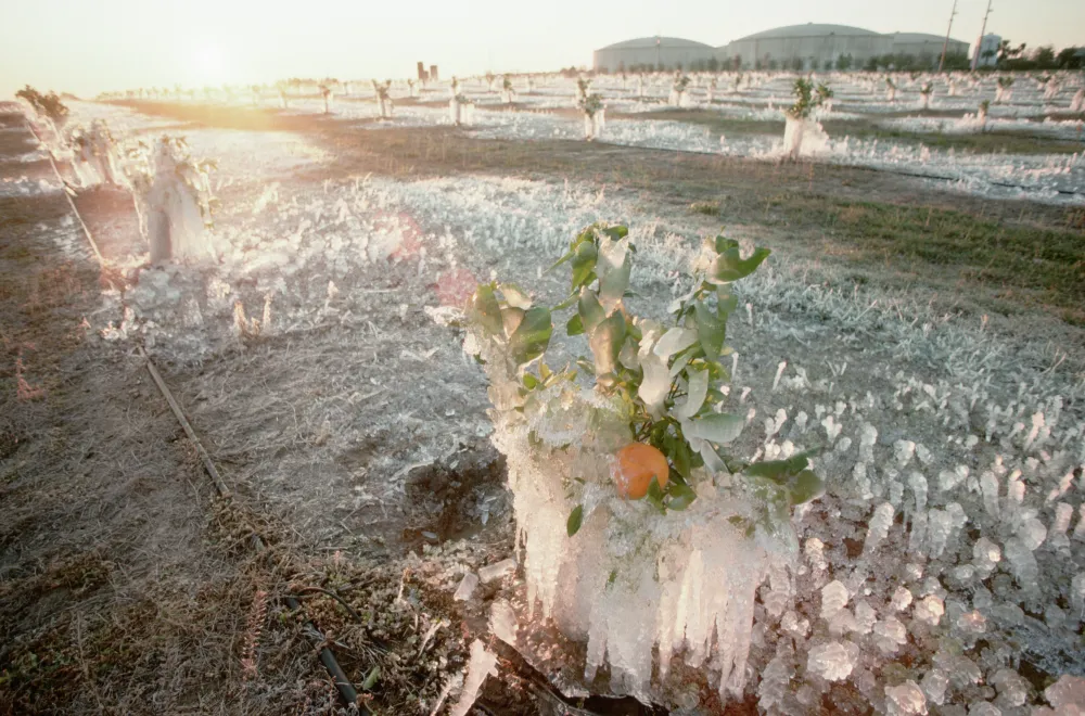 Texas Tech Explosion: Video of ‘Green Flames’ Goes Viral - Newsweek
