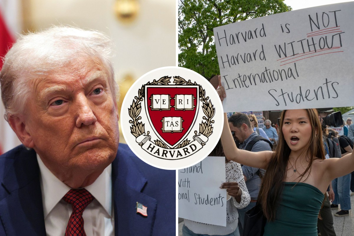 Donald Trump Hits Back at Harvard Funding Cut Block - Newsweek