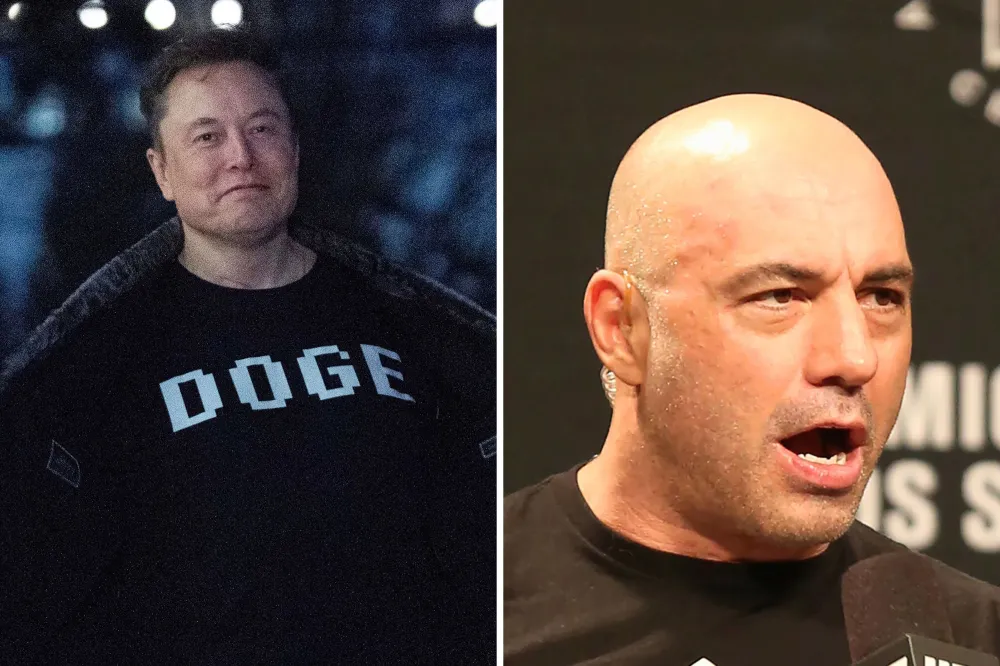 Elon Musk’s DOGE Remark to Joe Rogan Appears in Court Papers - Newsweek