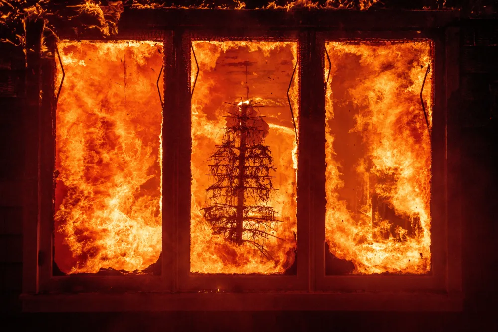 Gavin Newsom Reacts to Trump California Fire Executive Order - Newsweek