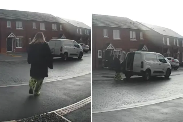 Delivery driver gets stuck in van—woman steps up to save him, goes ...