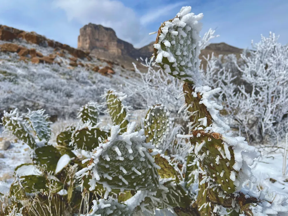 Winter Weather Alert for Texas as Snow to Hit - Newsweek