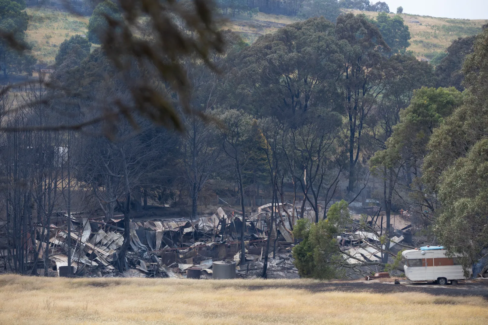 One Dead in Australia Bushfires - Newsweek