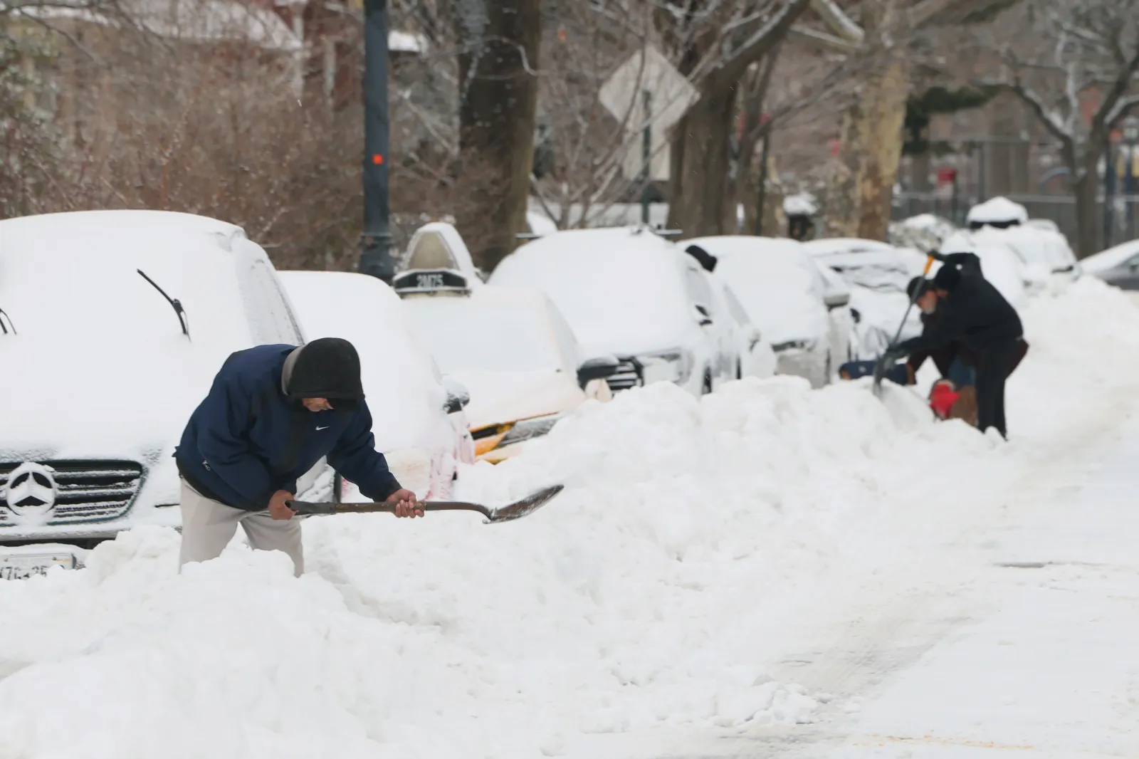 Winter Storm 2026: Snow Totals for Each State - Newsweek