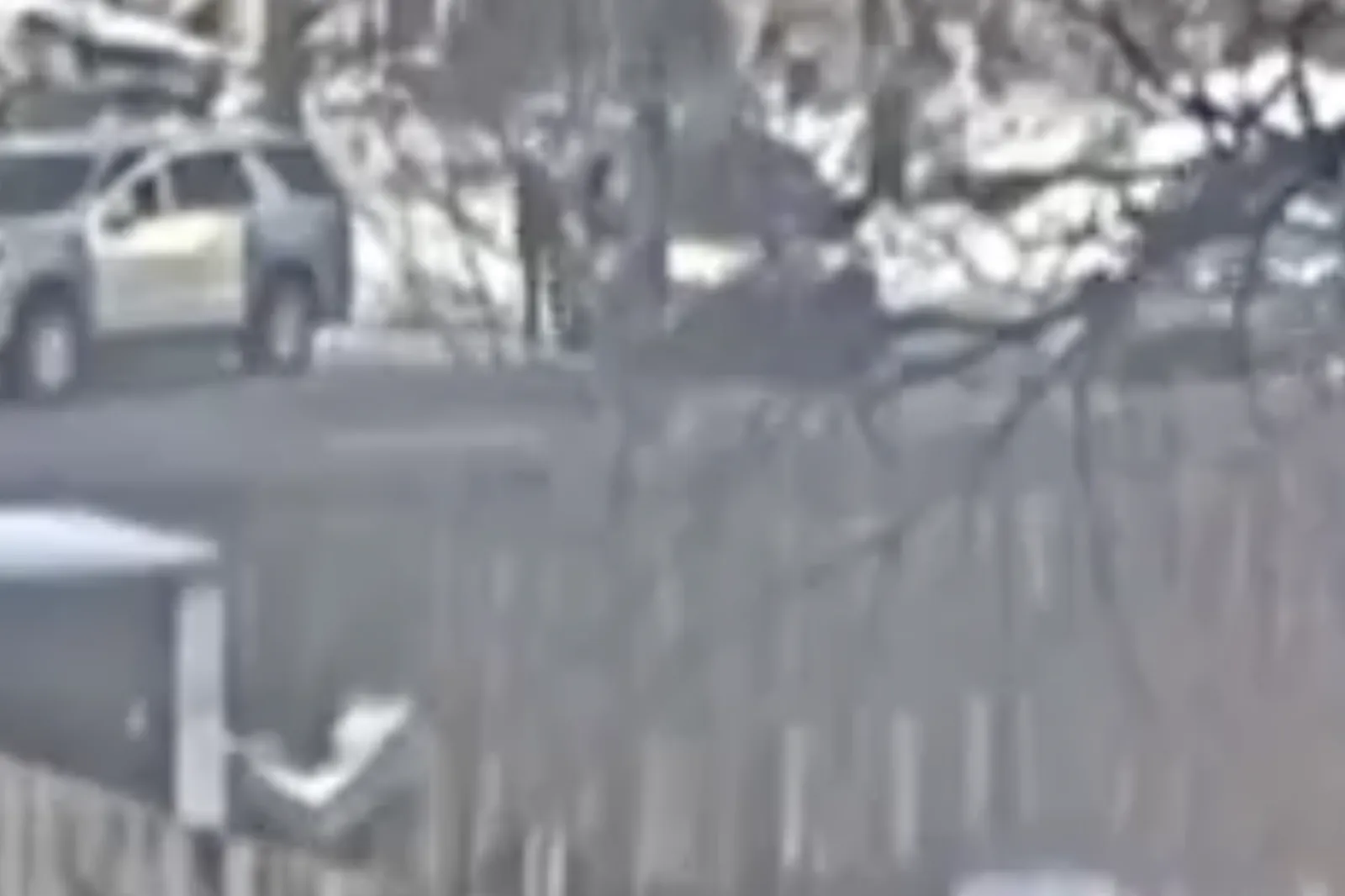 ICE Shooting Timeline: Video Analysis of Renee Good’s Death - Newsweek