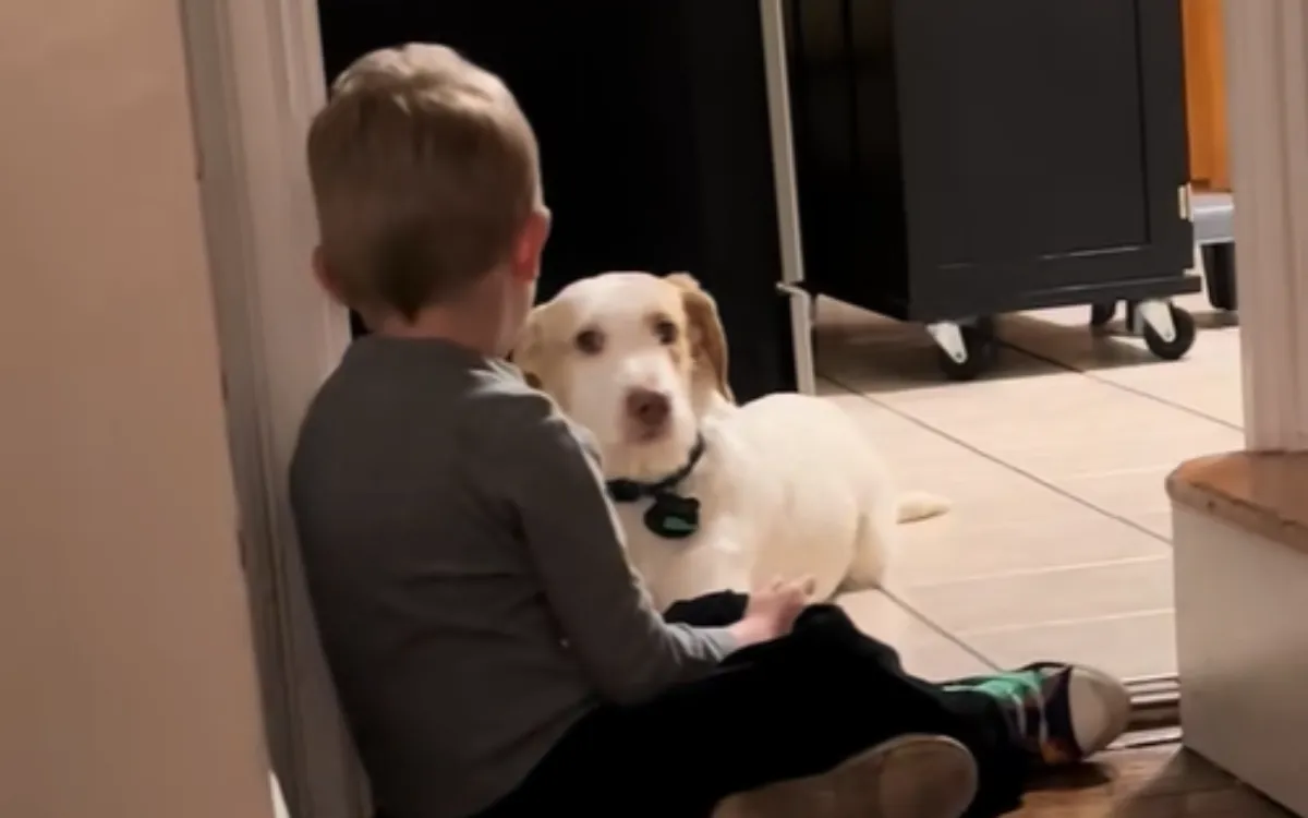 Tears at What Toddler Says in ‘Heart-To-Heart’ With Rescue Dog Who Ran ...