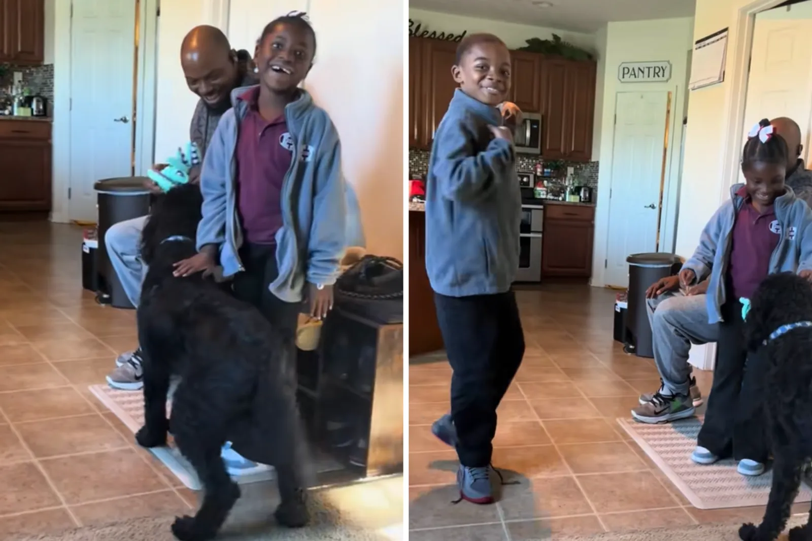 Kids Get Home From School to Fully Grown Dog—Their Reaction Is ...