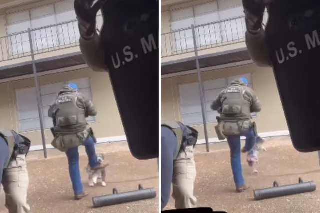 US Marshal Seen Kicking Dog in Viral Video - Newsweek