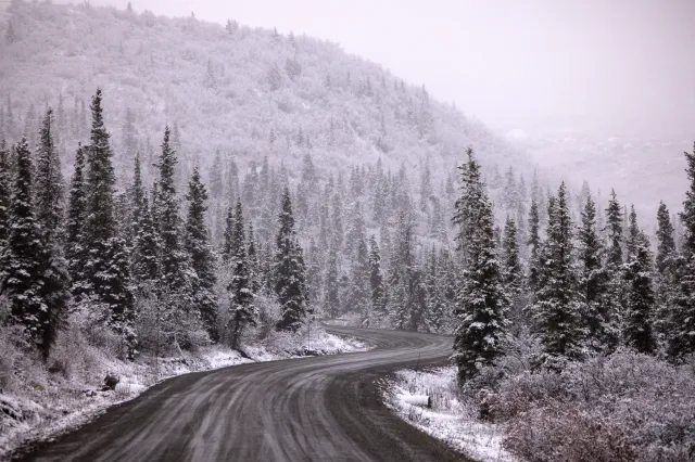 Hawaii Winter Storm Warning as 16 Inches of Snow Bring ‘Zero Visibility ...