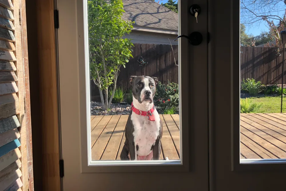 Man Alerts Wife to Someone Outside Home at 6 A.M.—Reality Warms Hearts ...