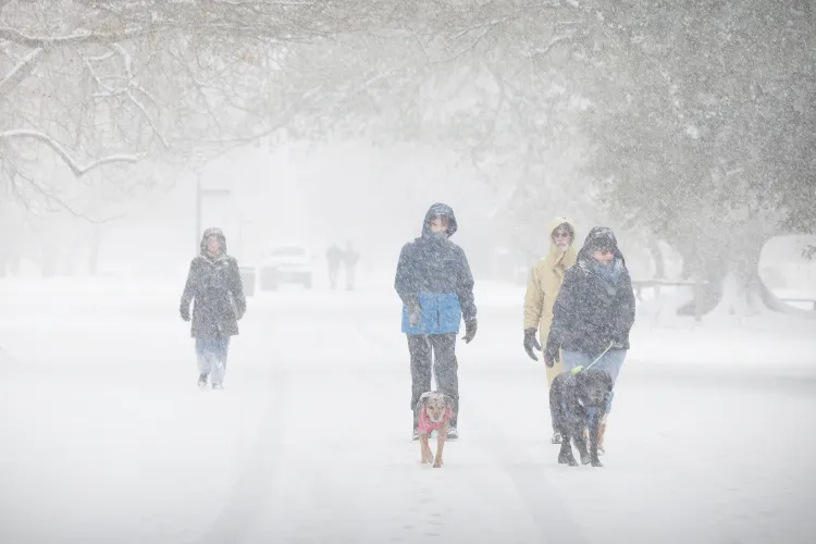 Winter Storm Watch As up to 8 Feet of Snow To Hit - Newsweek
